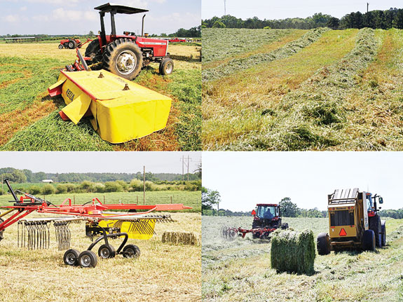Hay 101: Tuning harvest and curing processes - | Ag Proud